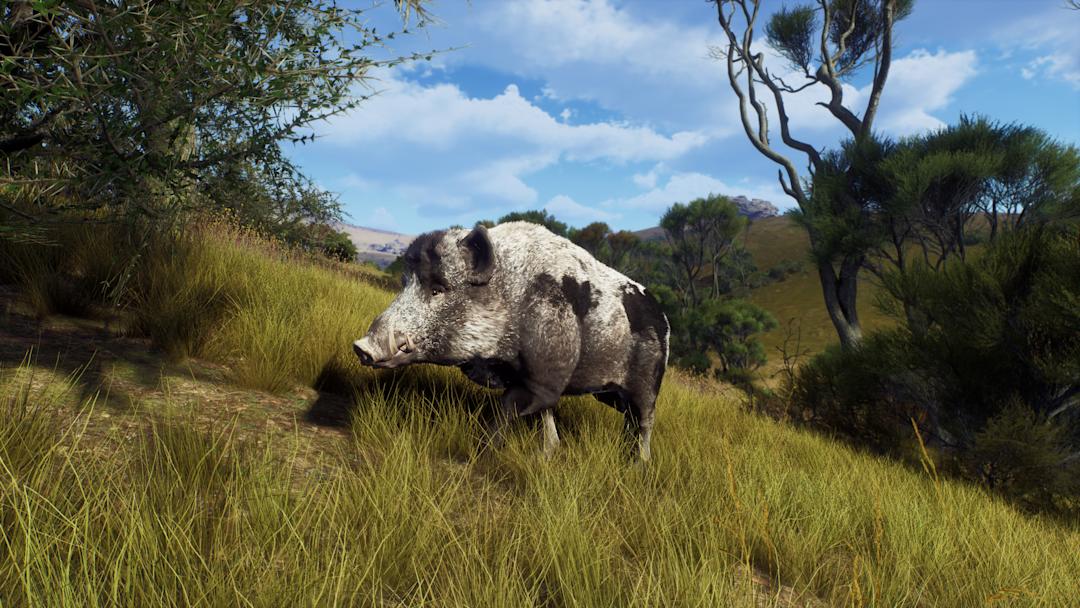 Announcements | Nine Rocks Games