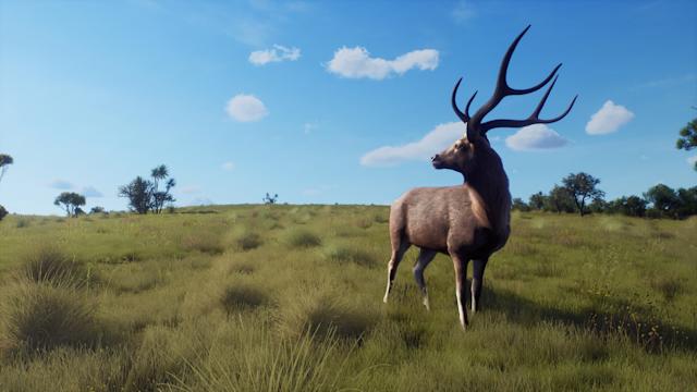 Announcements | Nine Rocks Games