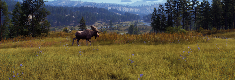 Announcements | Nine Rocks Games