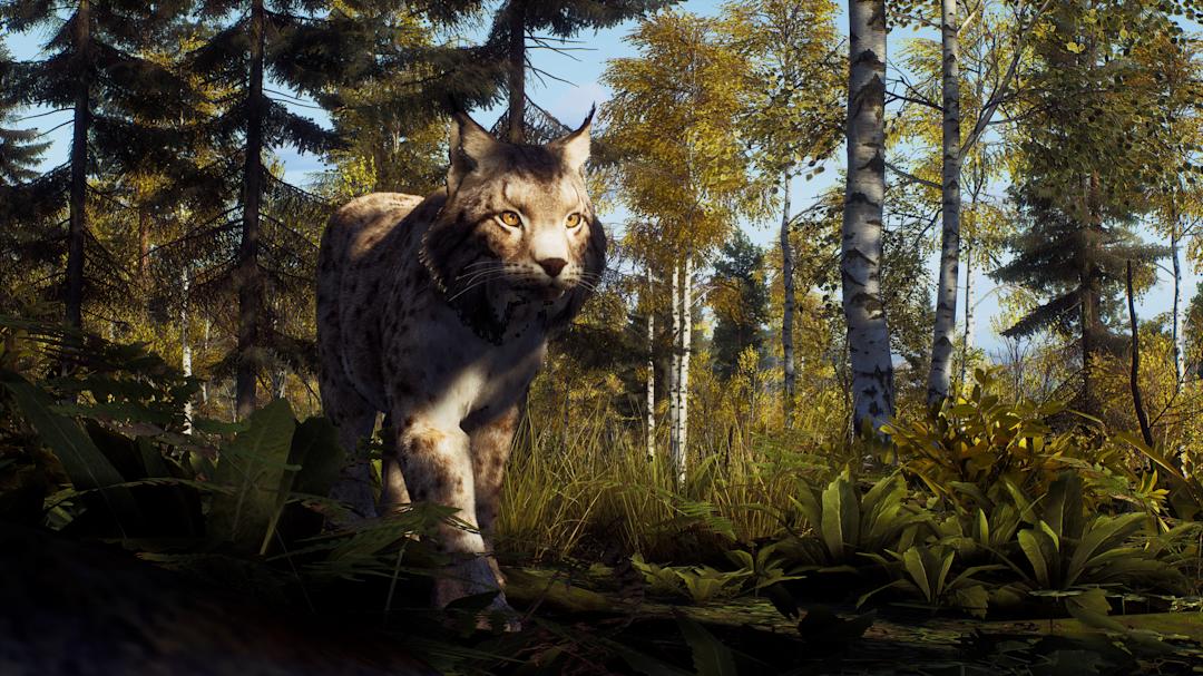 Announcements | Nine Rocks Games