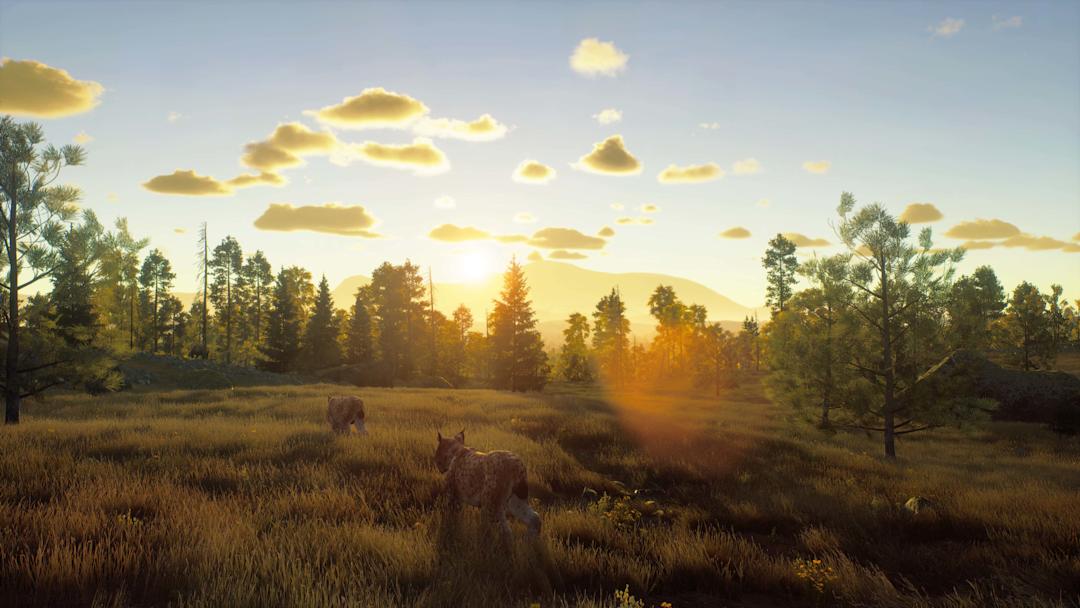 Announcements | Nine Rocks Games