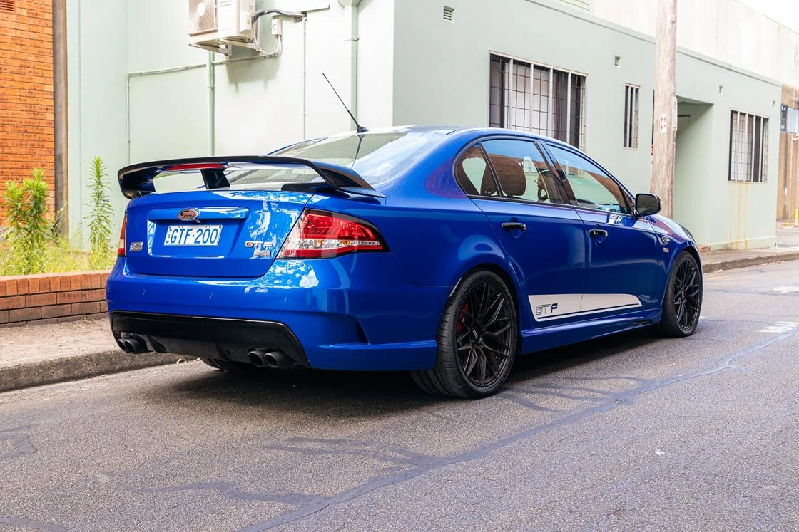 Rare Pair Of Falcons Come To Auction