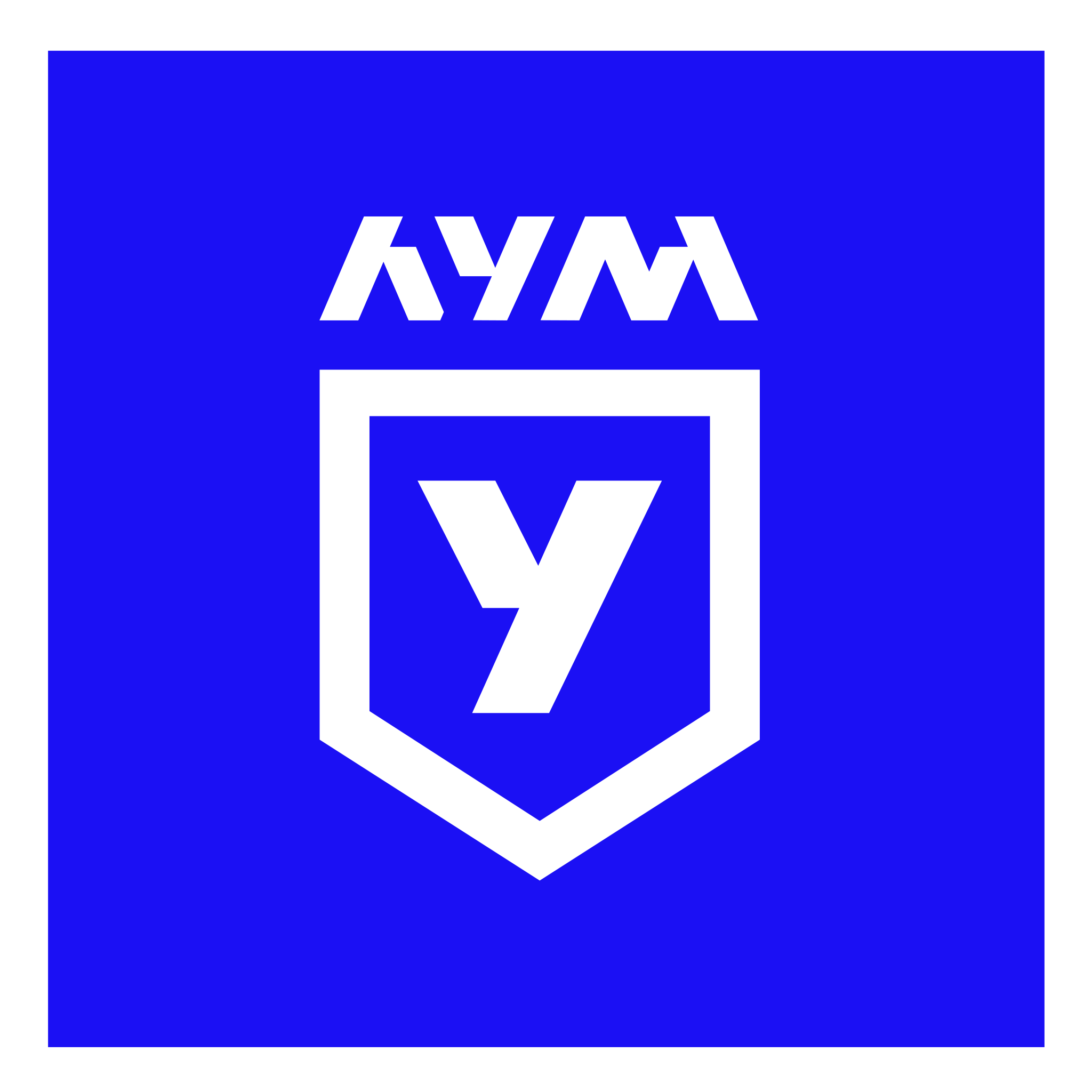 LUKAS vs DSAANCHEZ - FC Pro