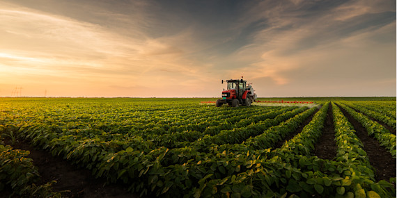 Tips to keep your farm safe in spring