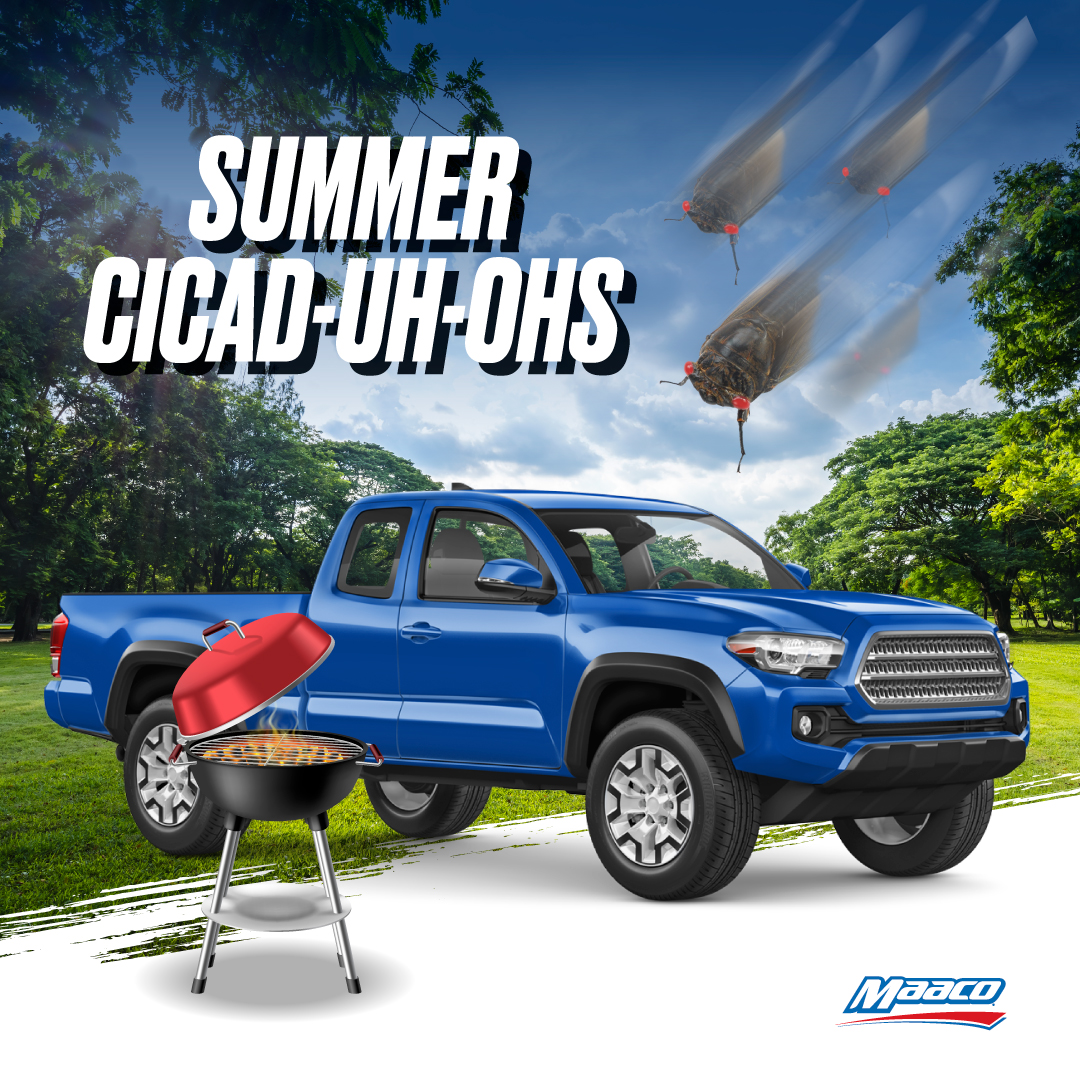 Summer Uh Ohs and How Maaco Can Help
