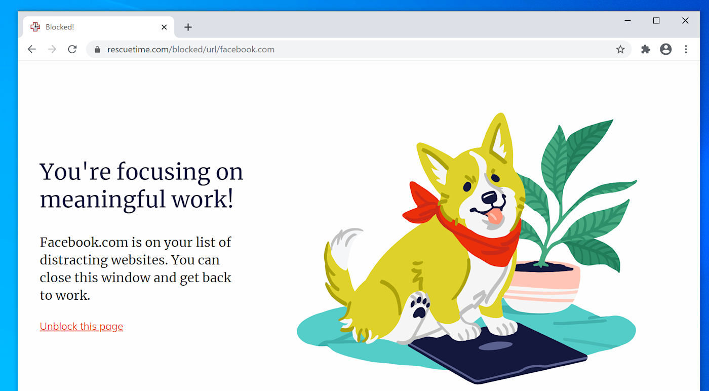 The 7 best apps to help you focus and block distractions in 2022 | Zapier