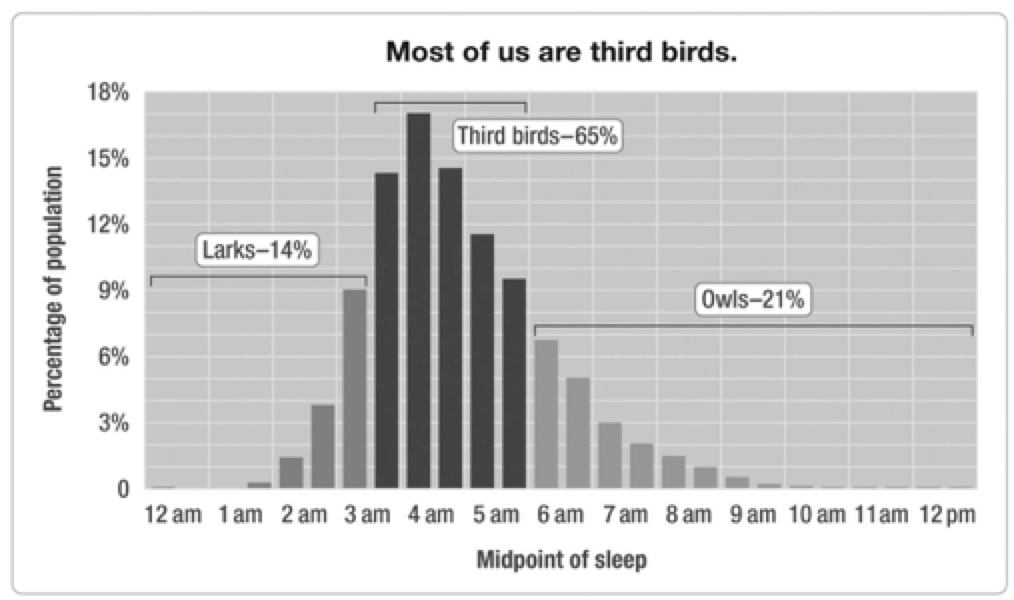 Find Your Chronotype and Schedule Your Productivity