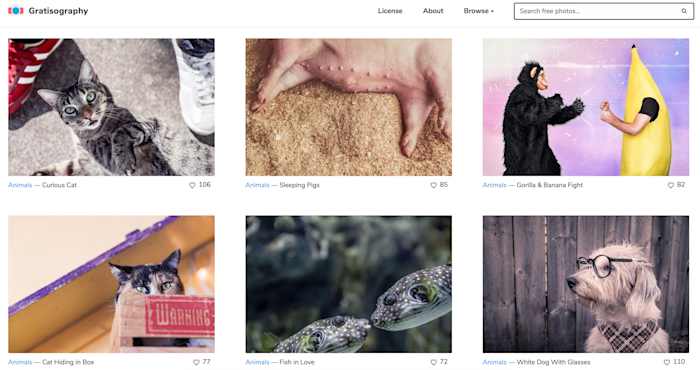 The 20 Best Sites for Finding Free Stock Photos and Images