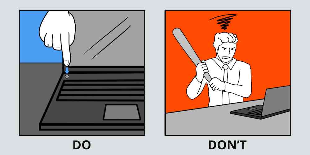 The remote work survival guide