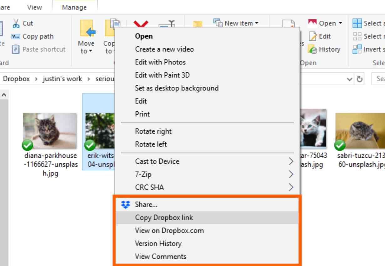 How to Create a Dropbox Link and Share Any File