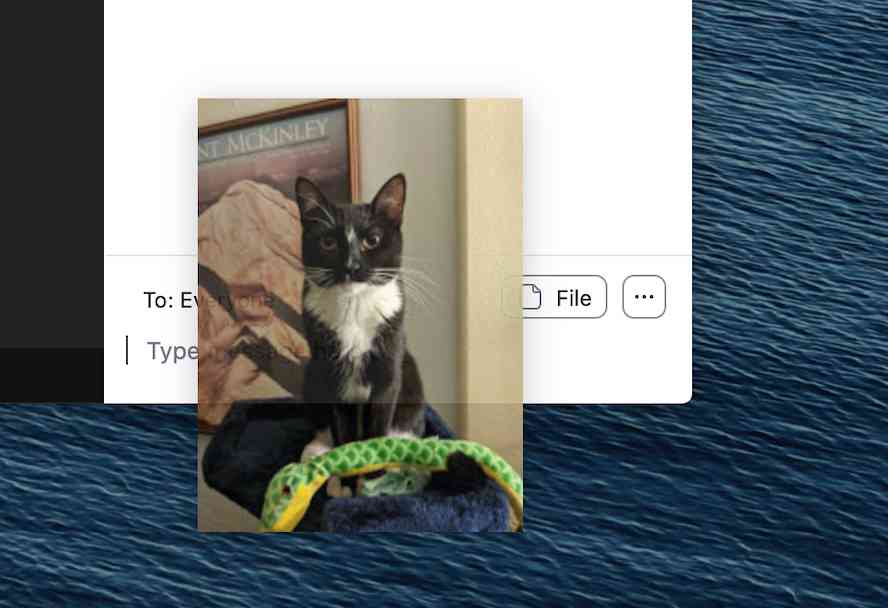 4 tips for Zoom chat | Zapier
