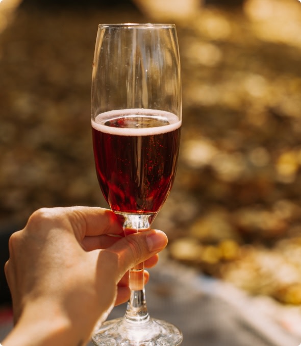 13 Light Red Wine Varieties To Try | WSJ Wine