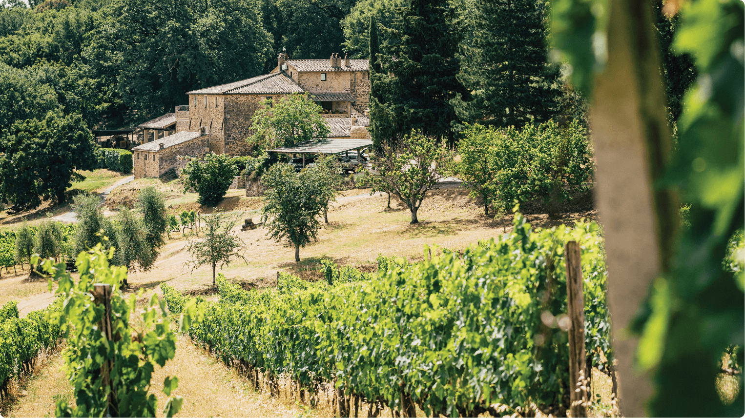 WSJ Wine Vineyard Partners | Exclusive Winery Access