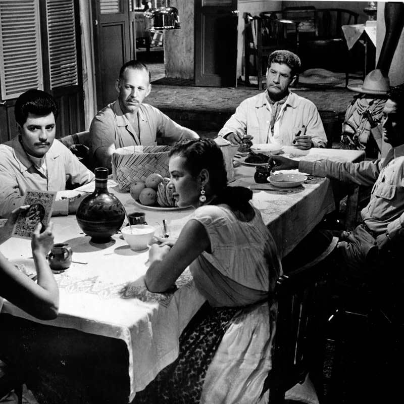 Rosa blanca (White Rose)