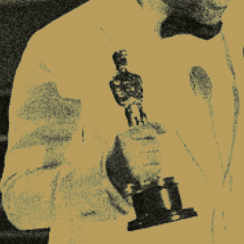 And the Oscar® Goes To...