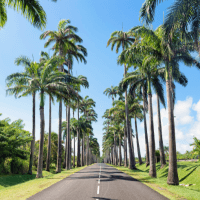 Guadeloupe in Mars: what to see, what to do?