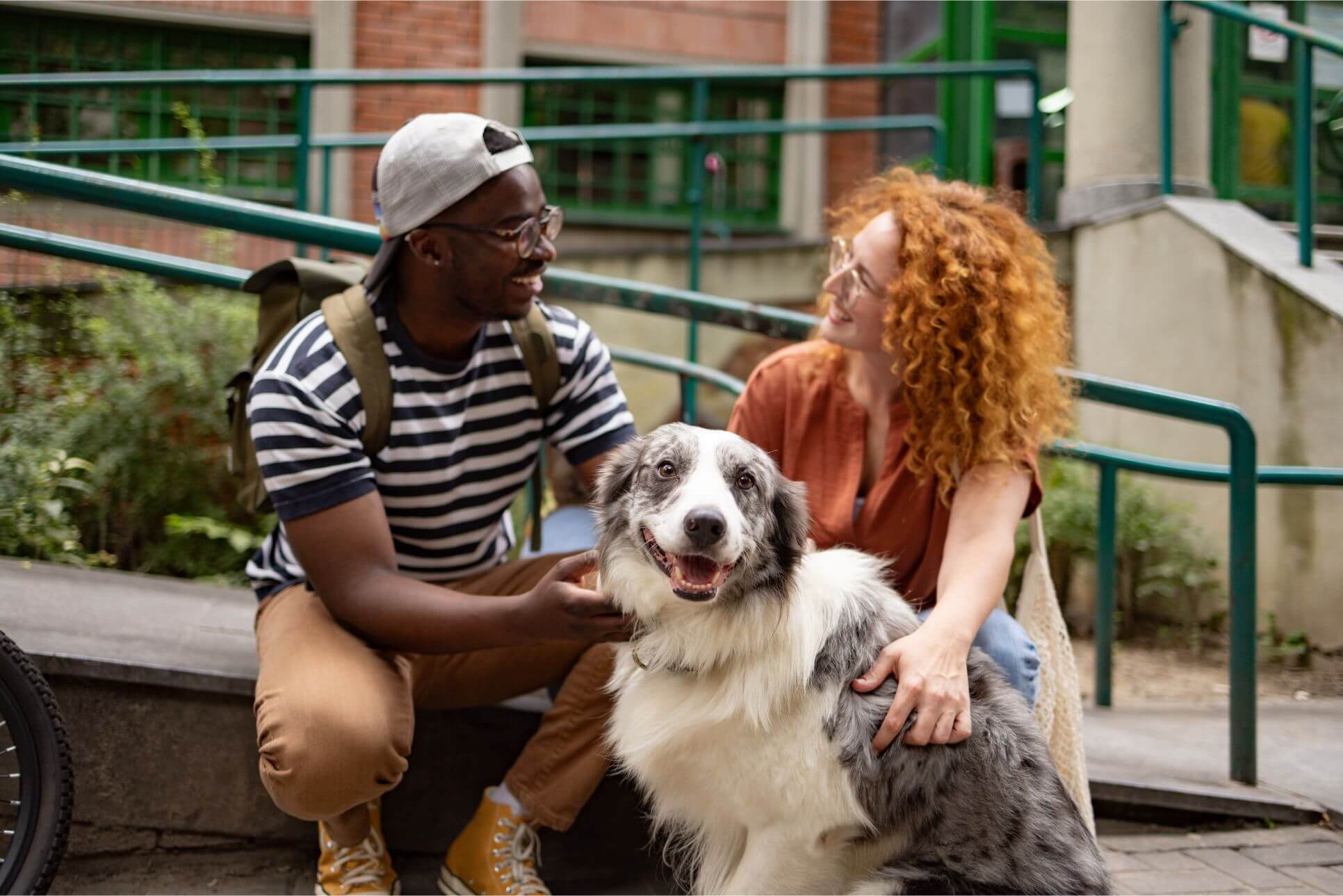 Cat People vs. Dog People | Which Are Better? | Spot Pet Insurance