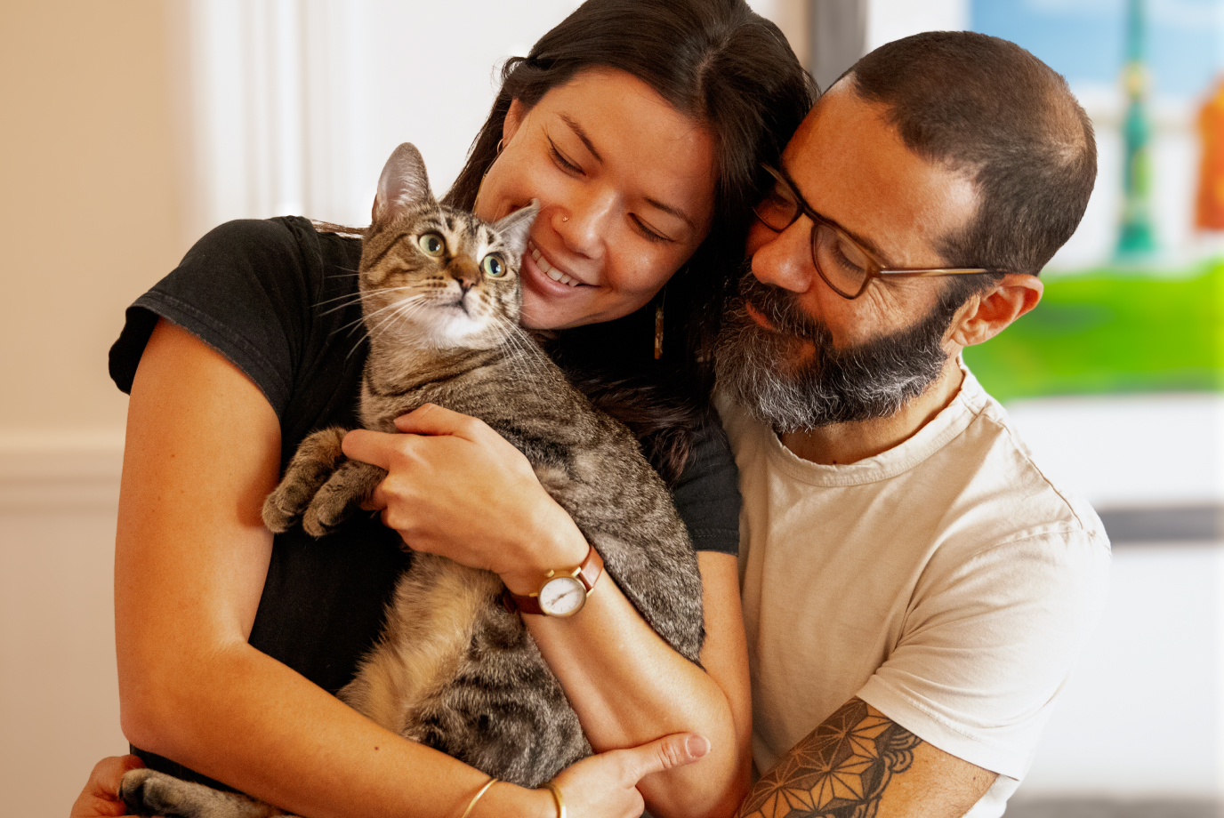Moving With Cats - Best Tips | Spot Pet Insurance Canada
