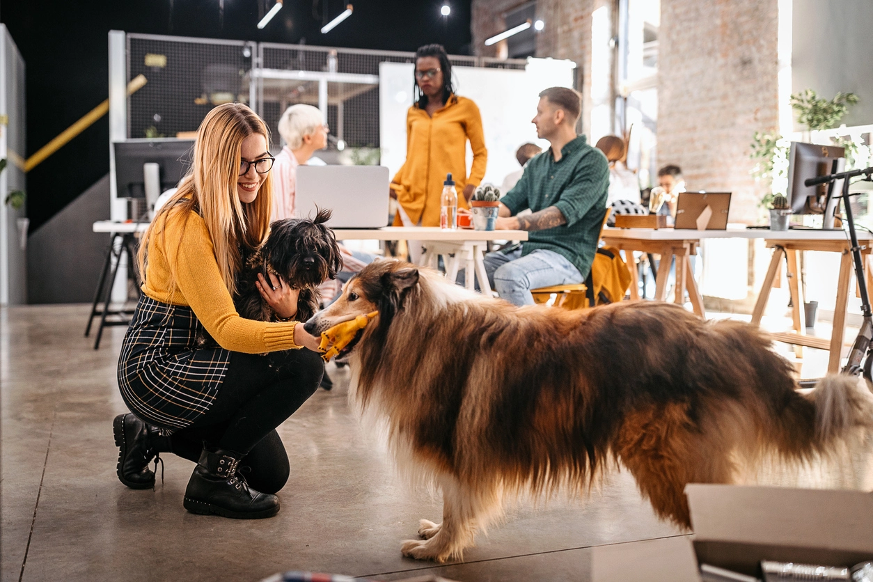 How Pet-Friendly Offices Boost Employee Morale & Productivity | Spot ...