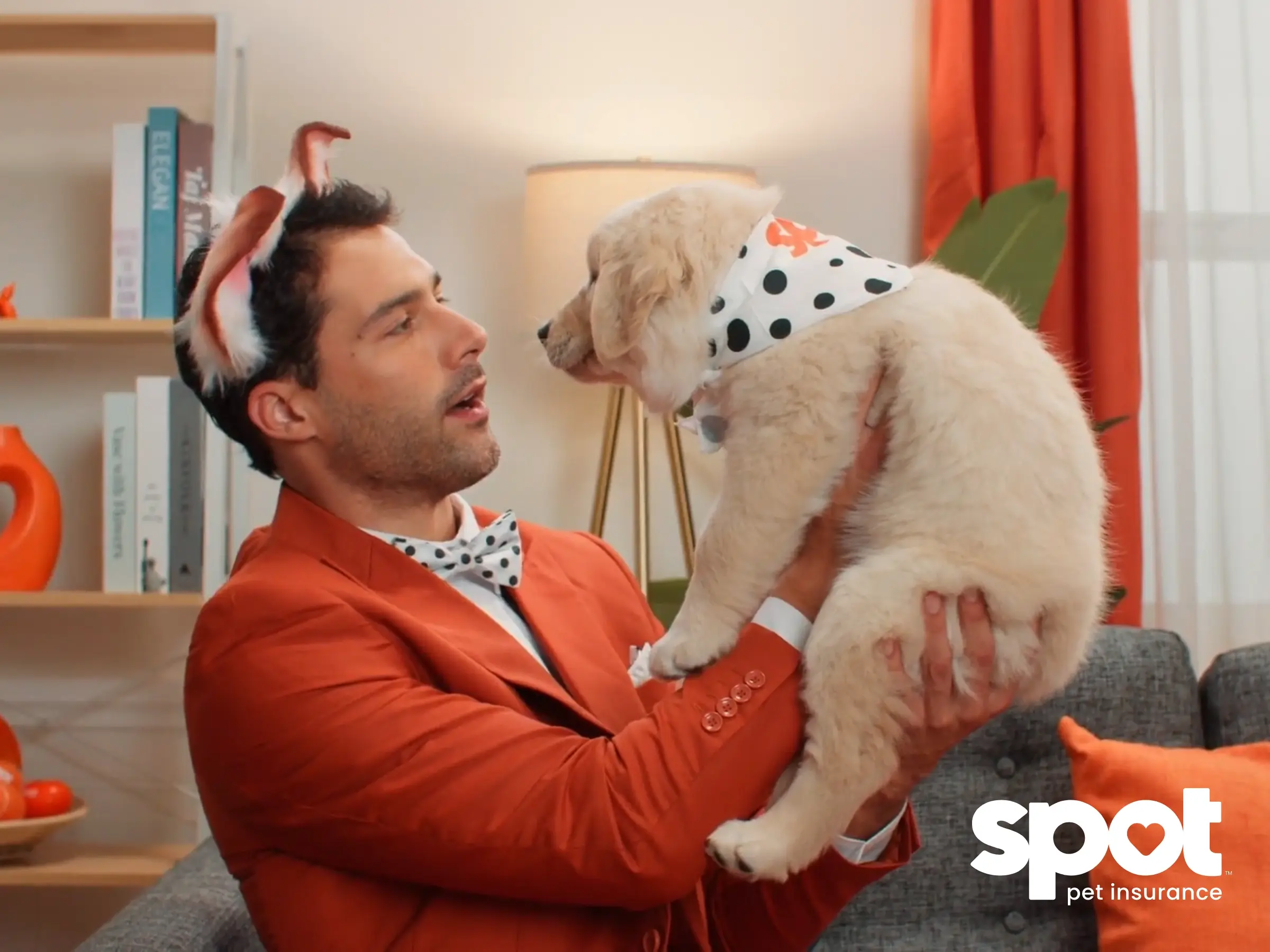 New Ad from Spot Tells Pets to Live Like They Have Nine Lives | Spot ...