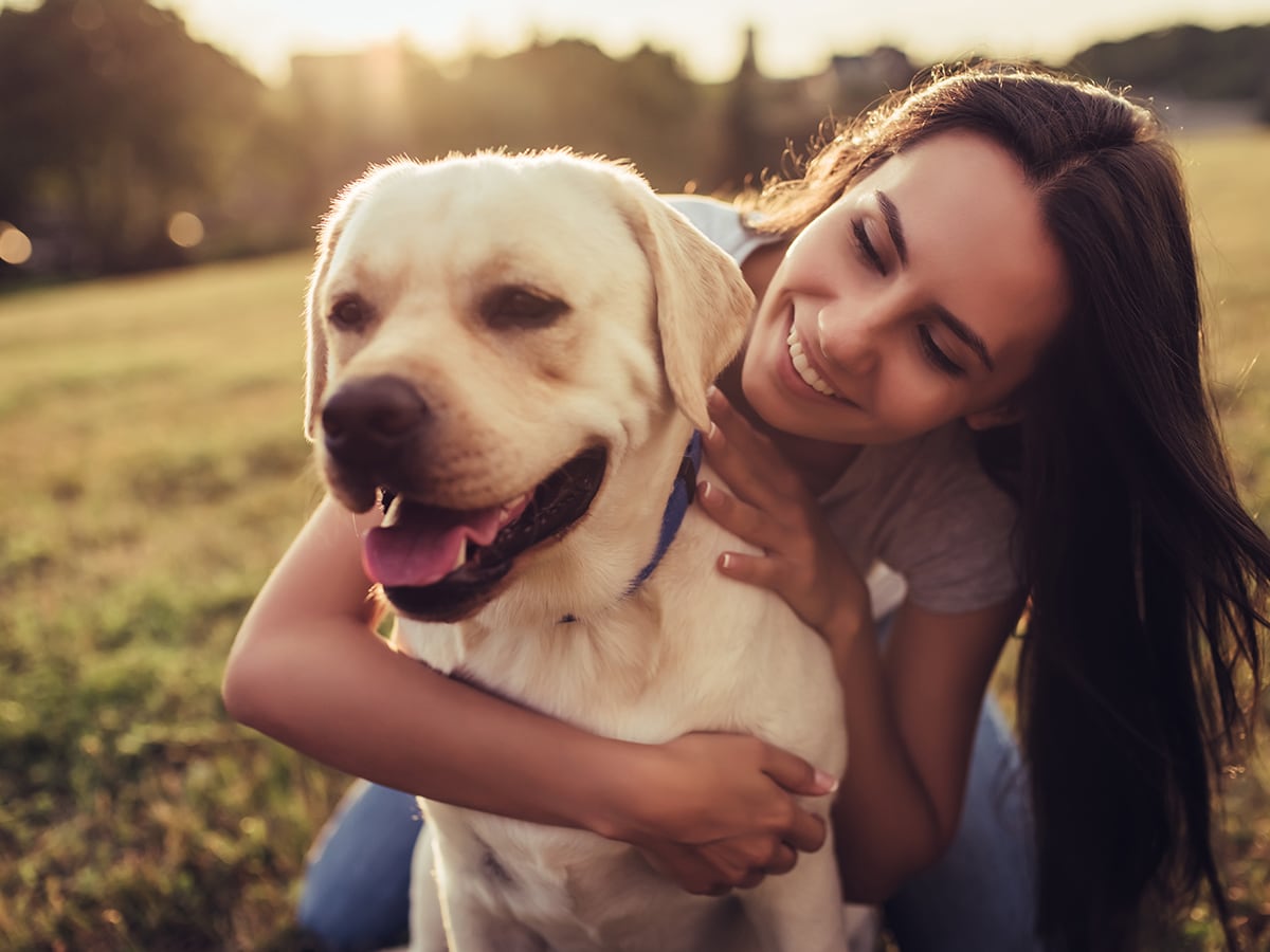 Best Labrador Names for Your Pet | Spot Pet Insurance Canada