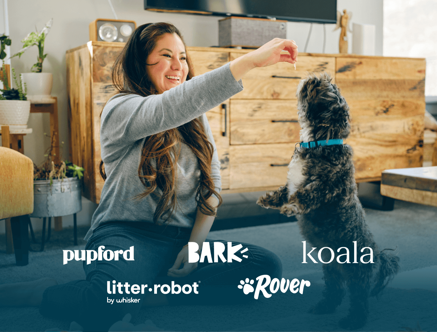 Spot Pet Insurance Perks | Discounts & Benefits Beyond Coverage | Spot ...