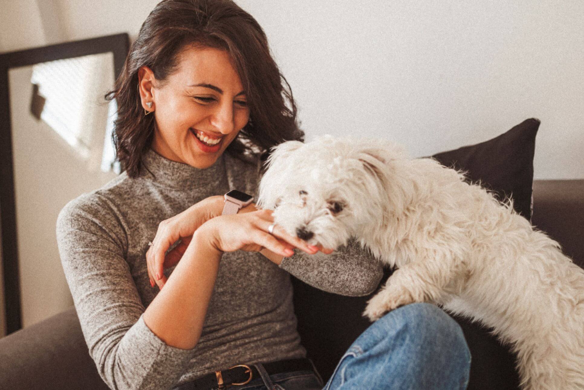 About Mental Stimulation for Dogs | Spot Pet Insurance Canada