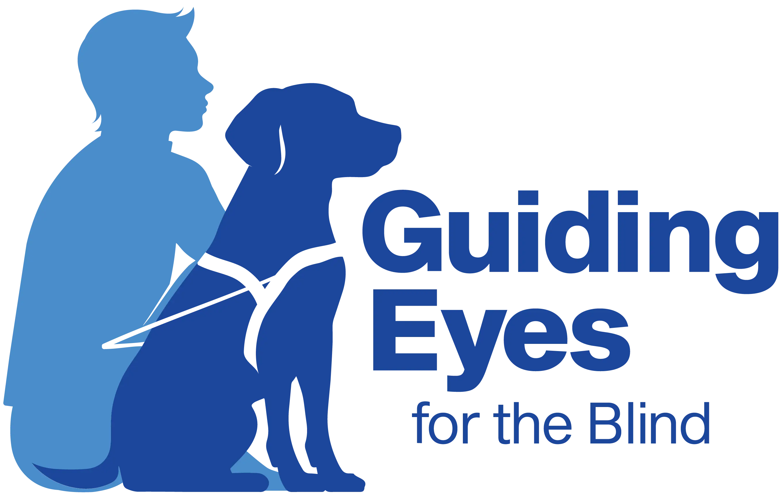 Spot & Guiding Eyes for the Blind Partner for Disability Awareness ...
