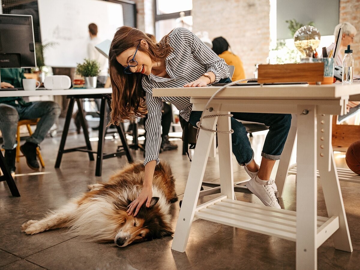 Is Pet Insurance a Good Employee Benefit? | Spot Pet Insurance | Spot ...