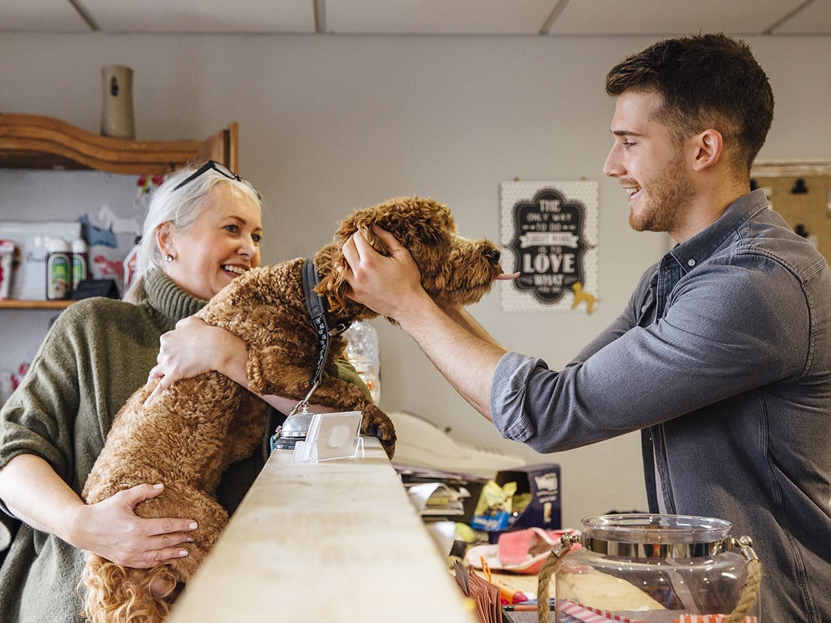 20 Most Important Dog Care Tips You Should Know | Spot Pet Insurance Canada