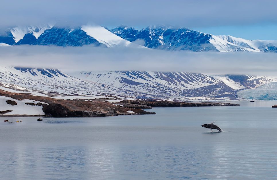 Adventure Holidays in Svalbard | Much Better Adventures