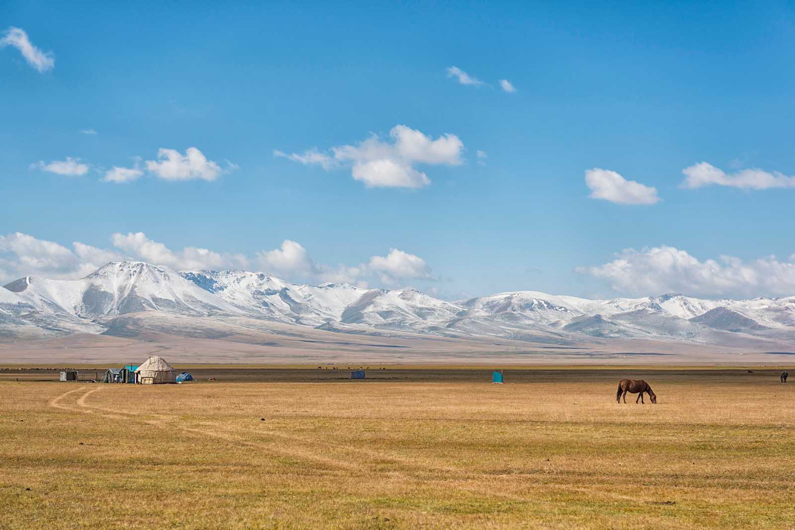 Trek the Tian Shan Mountains of Kyrgyzstan | Much Better Adventures