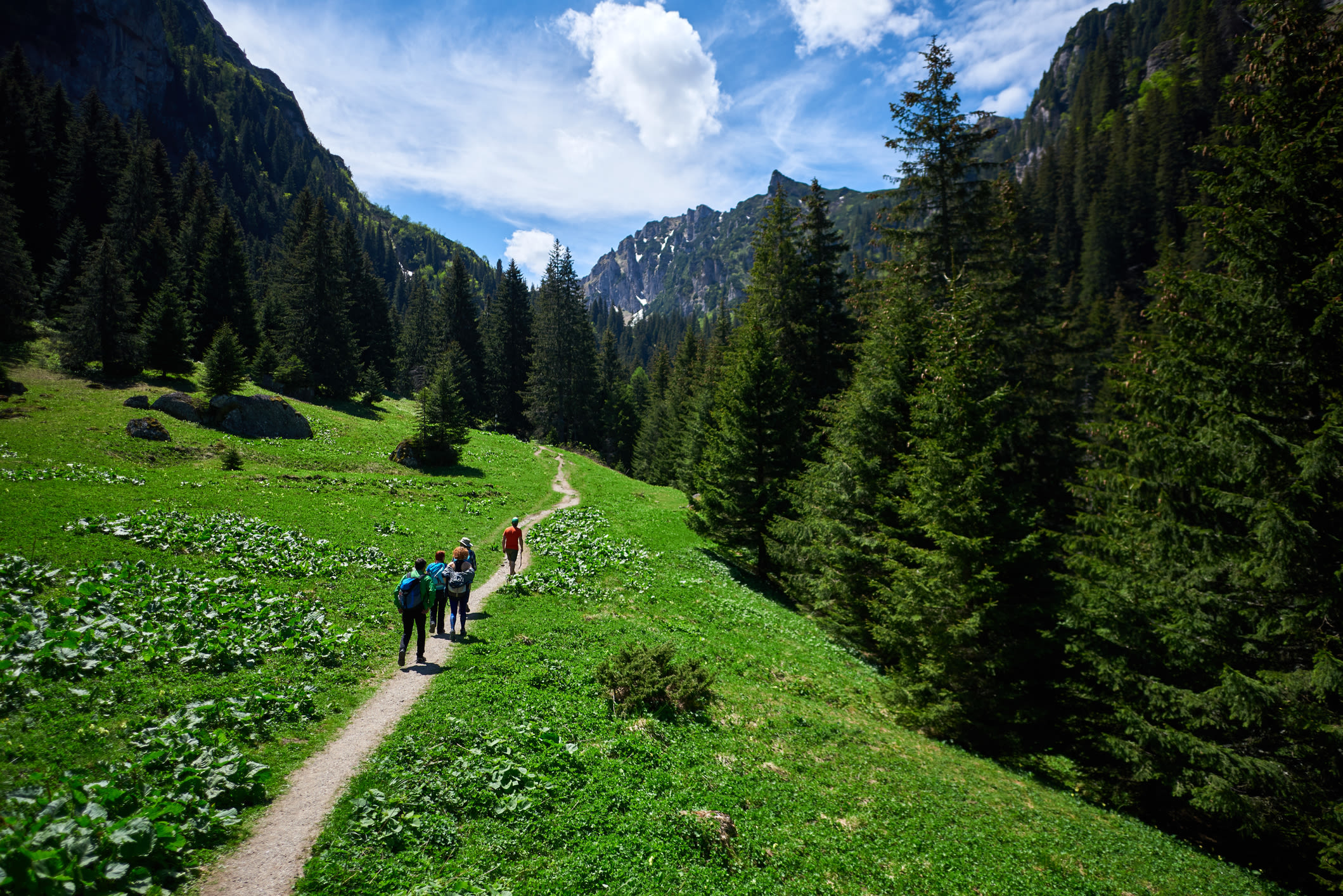 Hiking Vacations in Romania | Book Now | Much Better Adventures