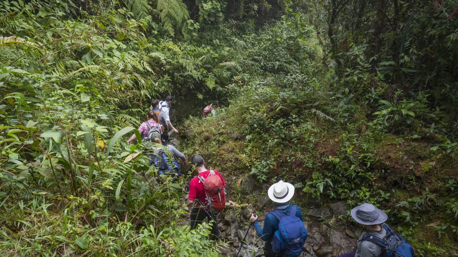 100km Jungle Expedition into the Heart of Colombia | Much Better Adventures