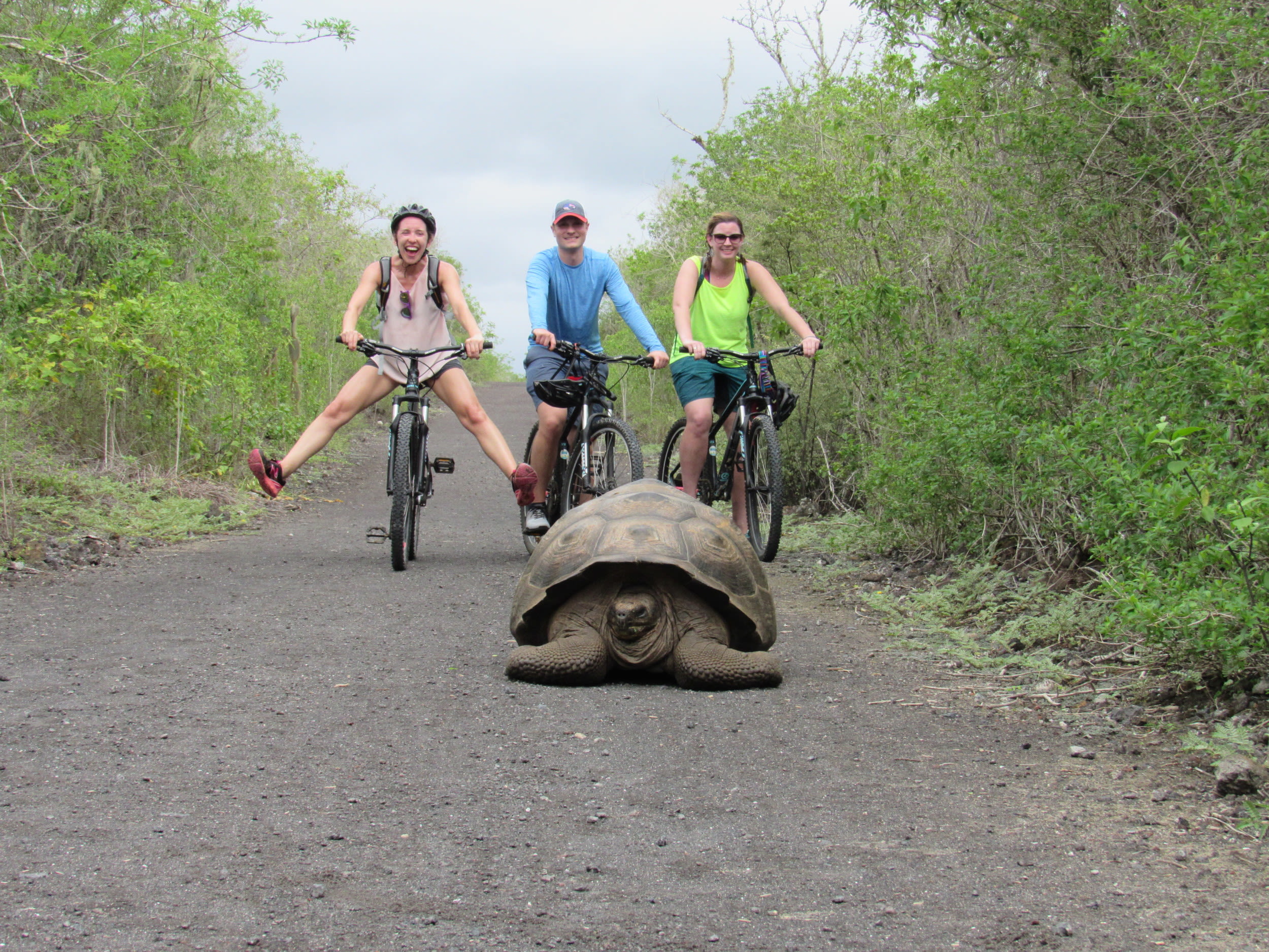 Easy Adventure Holidays | Soft Adventures | Much Better Adventures