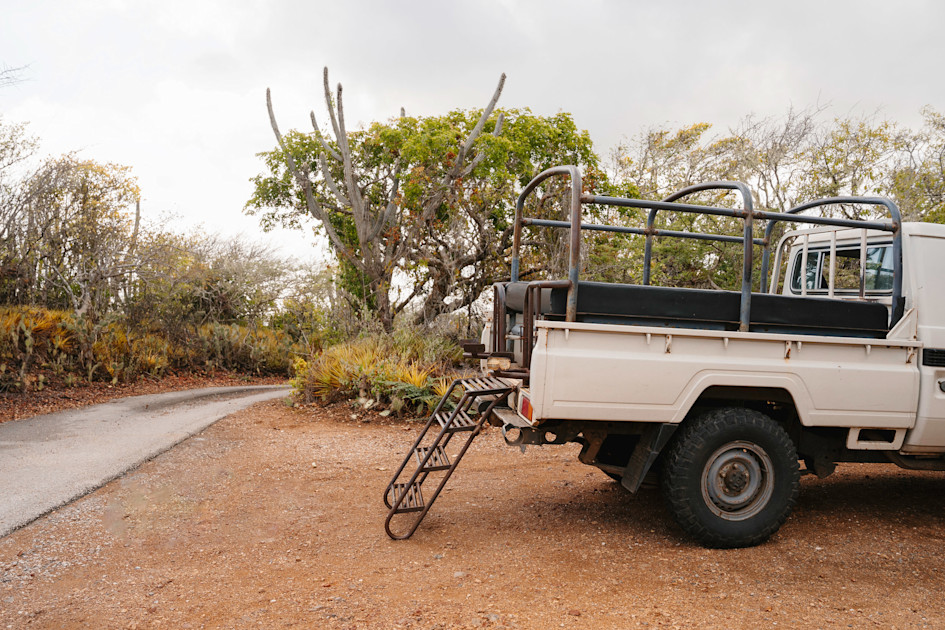 What are alternative forms of transportation?