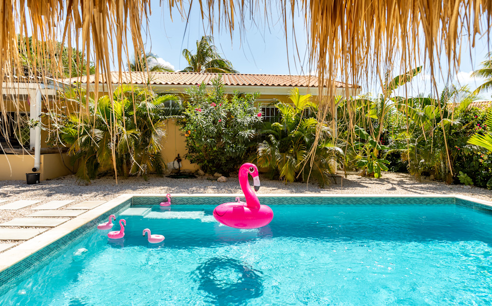 Dushi Arembos | Curacao, the Caribbean Getaway