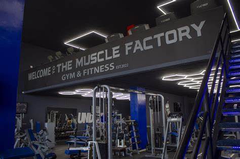 The Muscle Factory Curaçao | Curacao, the Caribbean Getaway