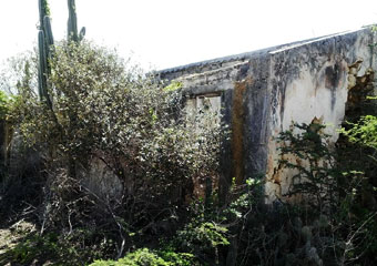 Landhuis Groot Davelaar | Curacao, la Escapada al Caribe