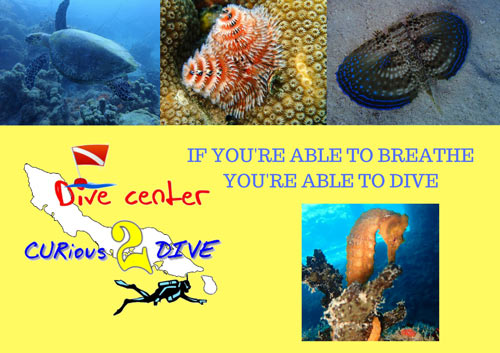 Scuba Lodge Dive Center Pietermaai | Curacao, the Caribbean Getaway