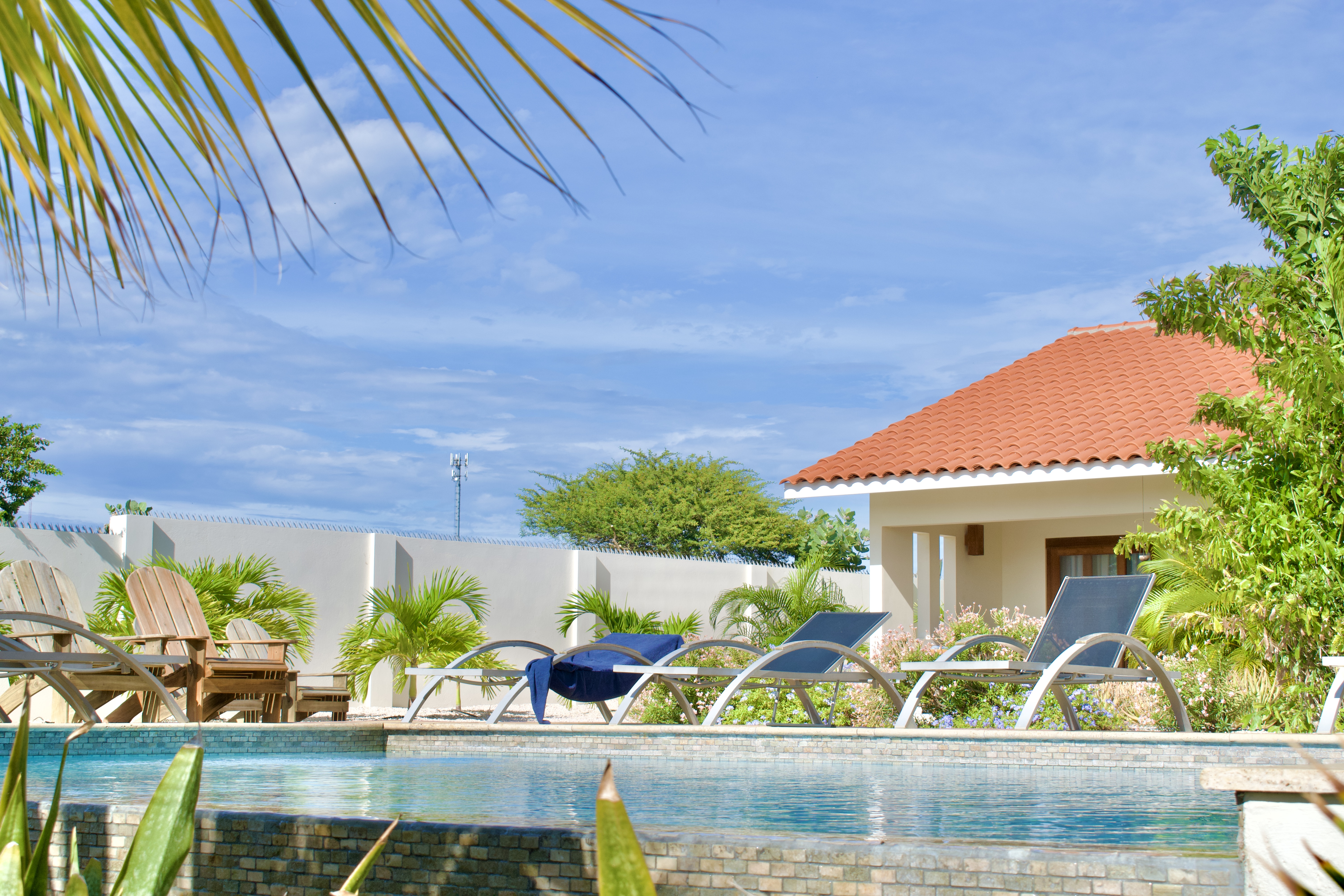 ABC Resort | Curacao, the Caribbean Getaway