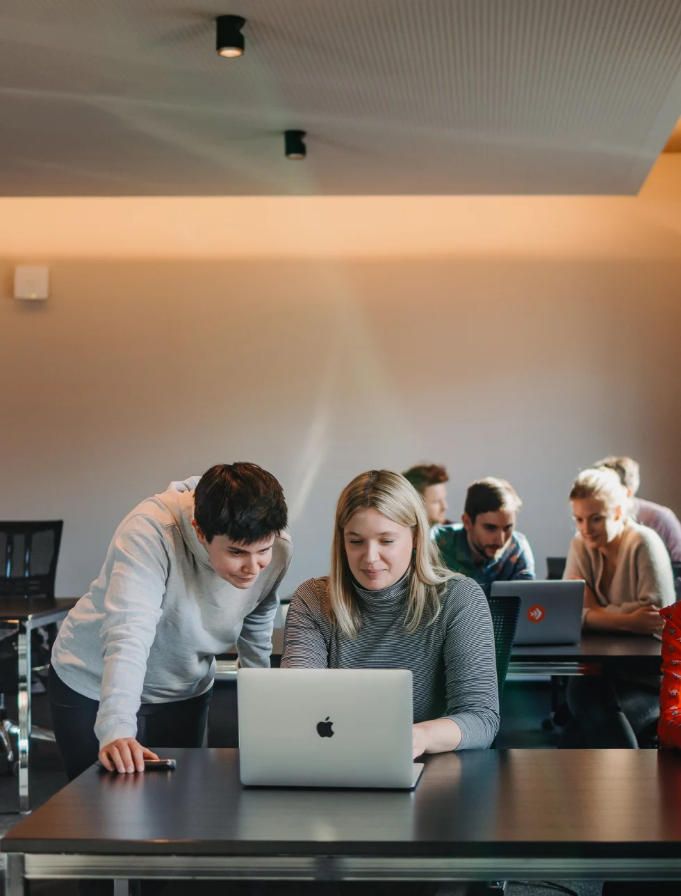 UX / UI Design Bootcamp | neue fische