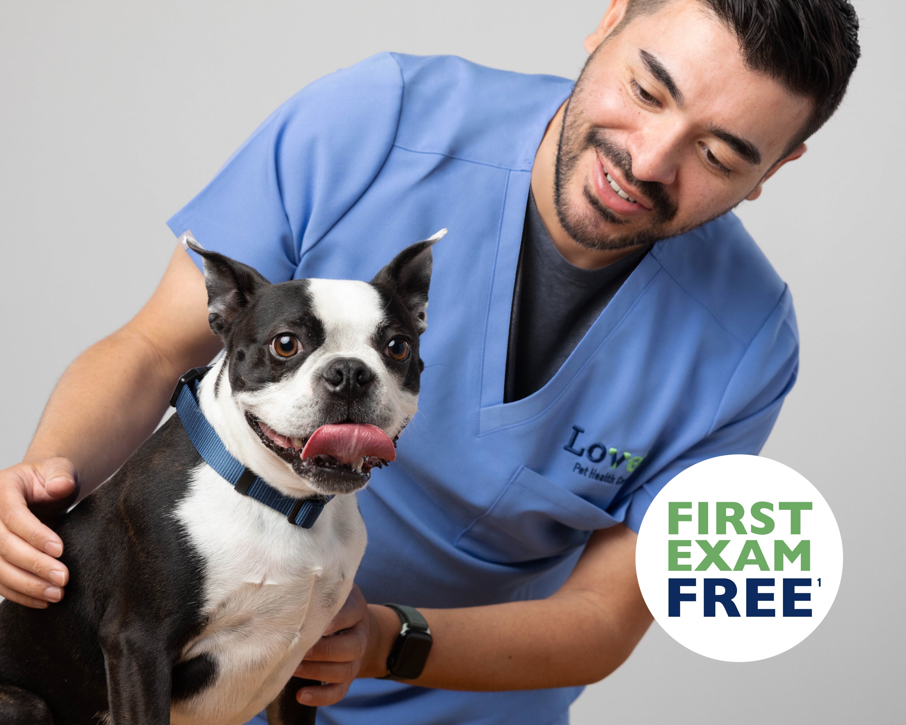 Vet in Grand Rapids, Michigan | Standale | Lovet Pet Health Care