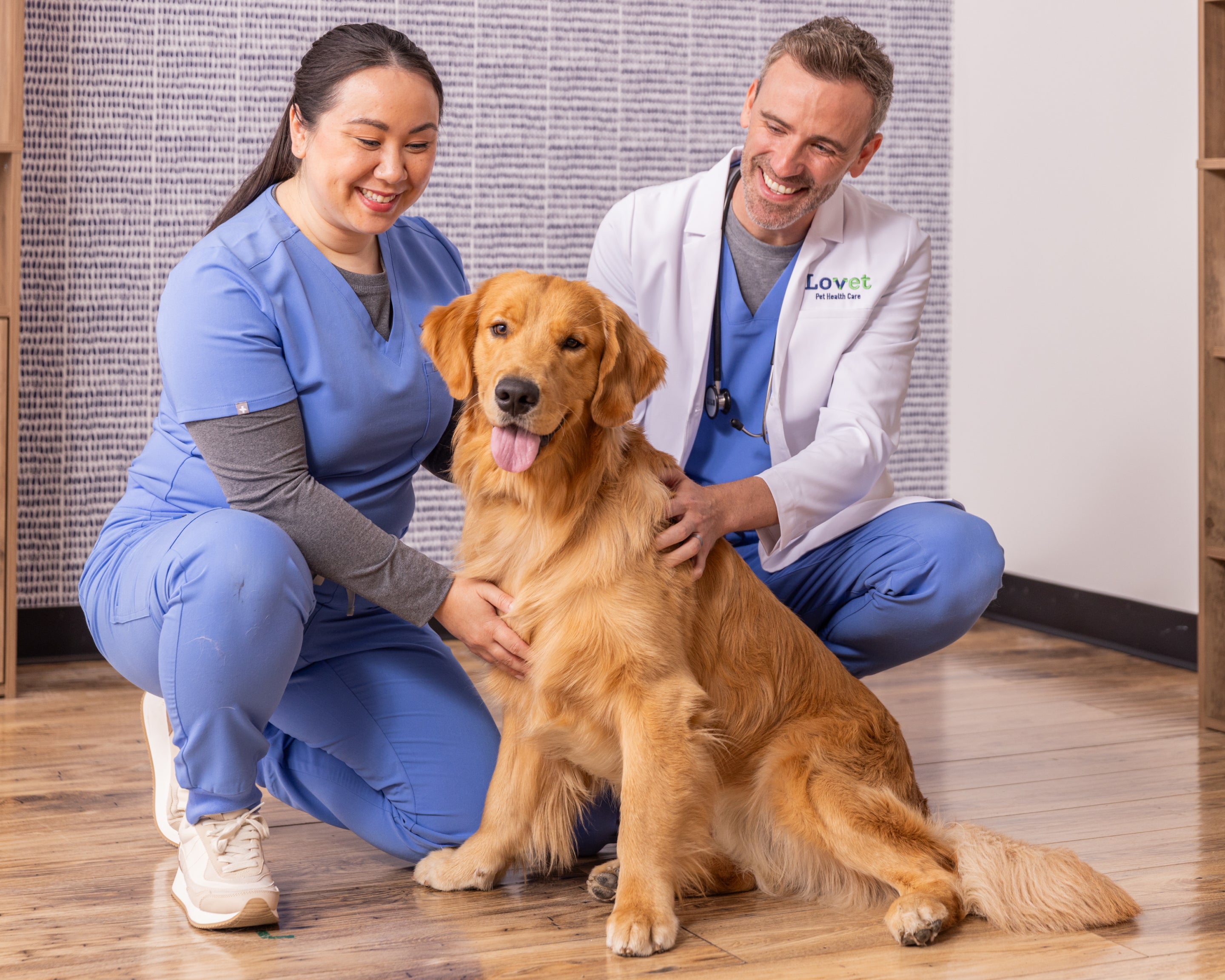 Lovet Pet Health Care | Urgent & Preventative Vet Care