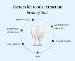 Tooth extraction healing: Your path to a smooth recovery | Aspen Dental