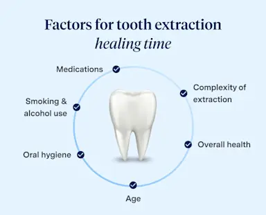 Tooth extraction healing: Your path to a smooth recovery | Aspen Dental