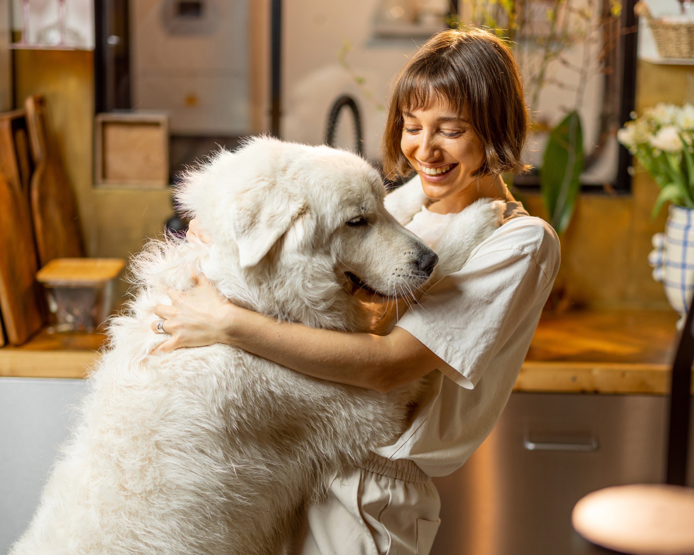 Vet in Grand Rapids, Michigan | Standale | Lovet Pet Health Care