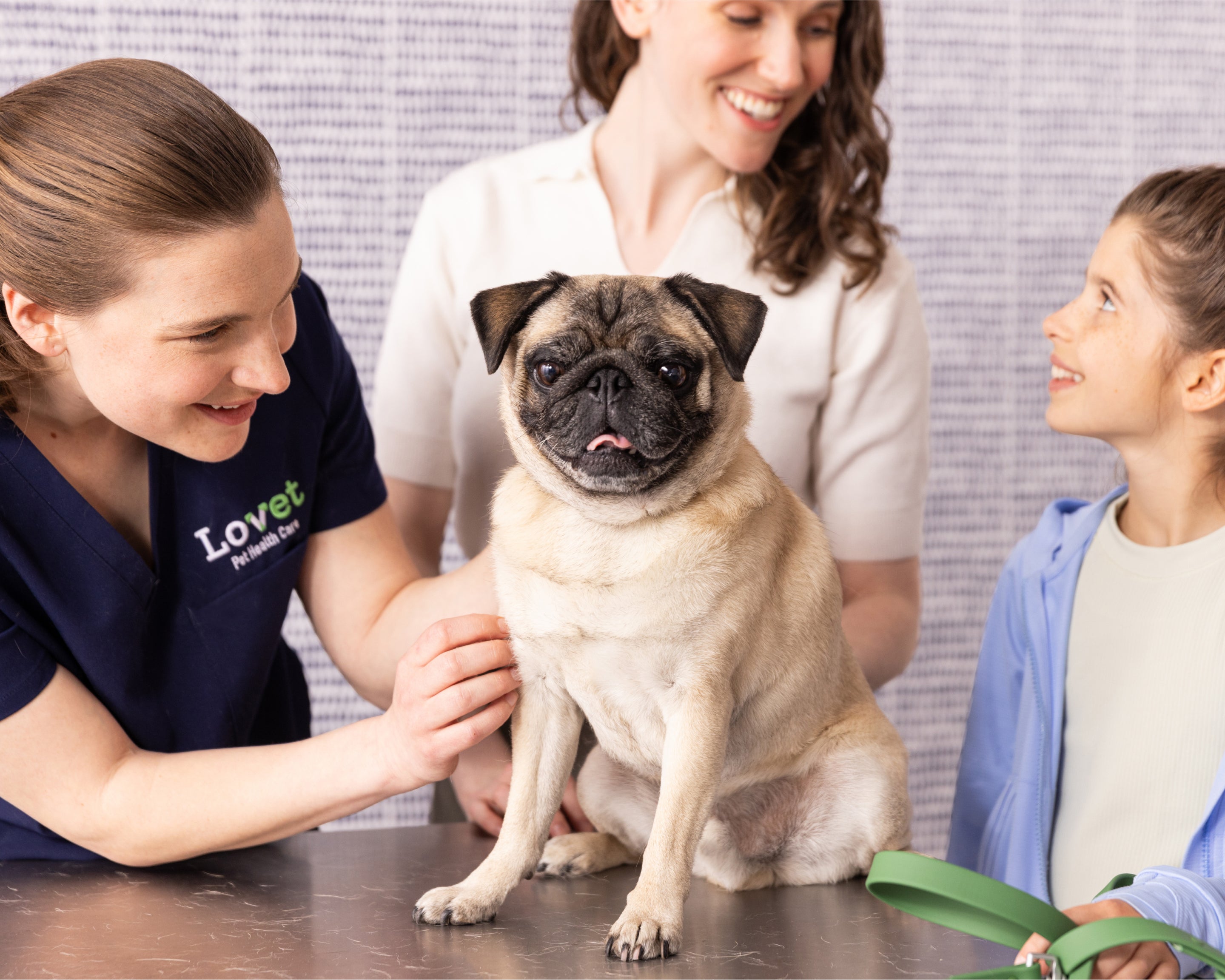 Lovet Pet Health Care | Urgent & Preventative Vet Care