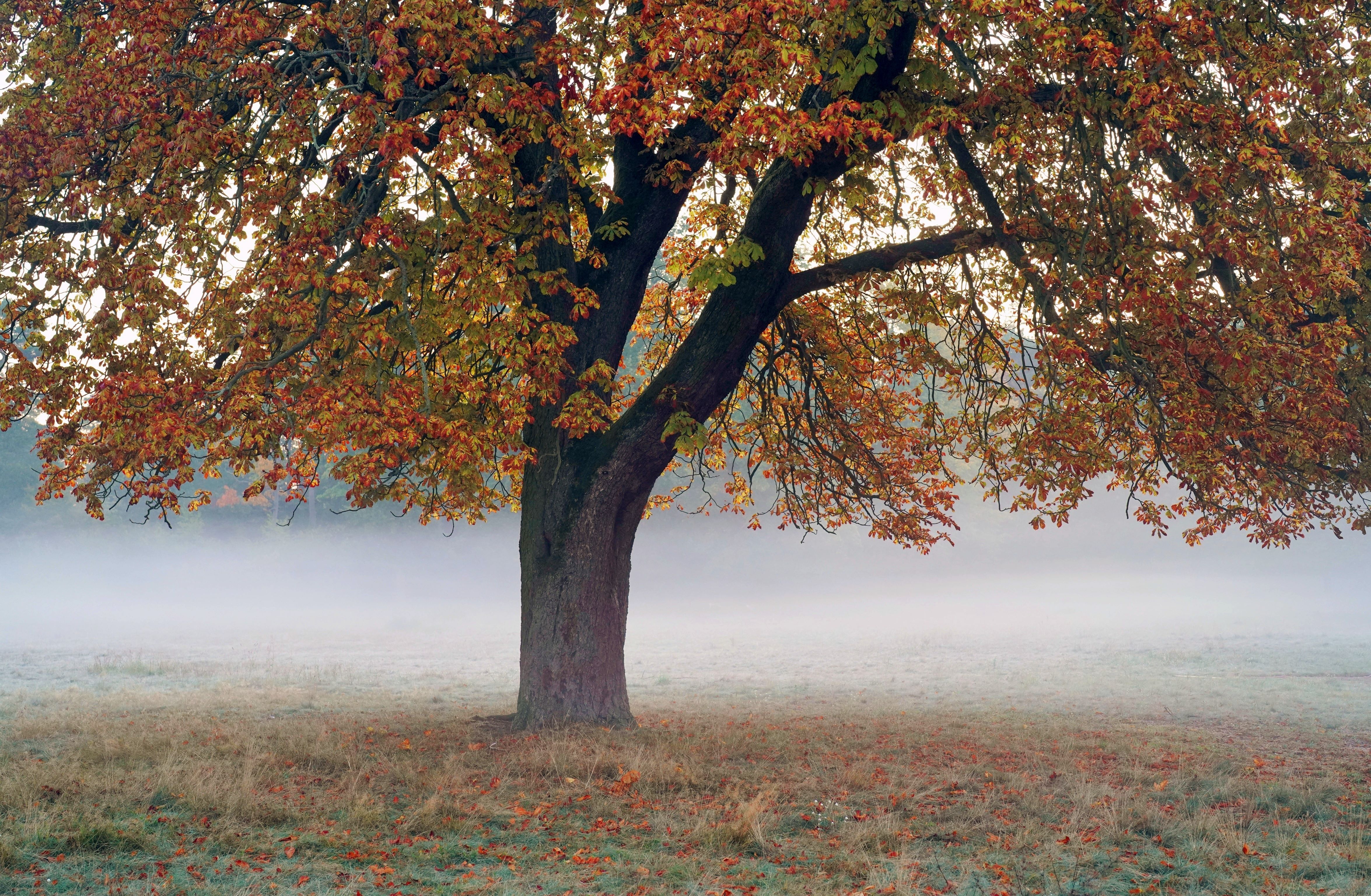 Checkpoint vom Donnerstag, 16.10.2025