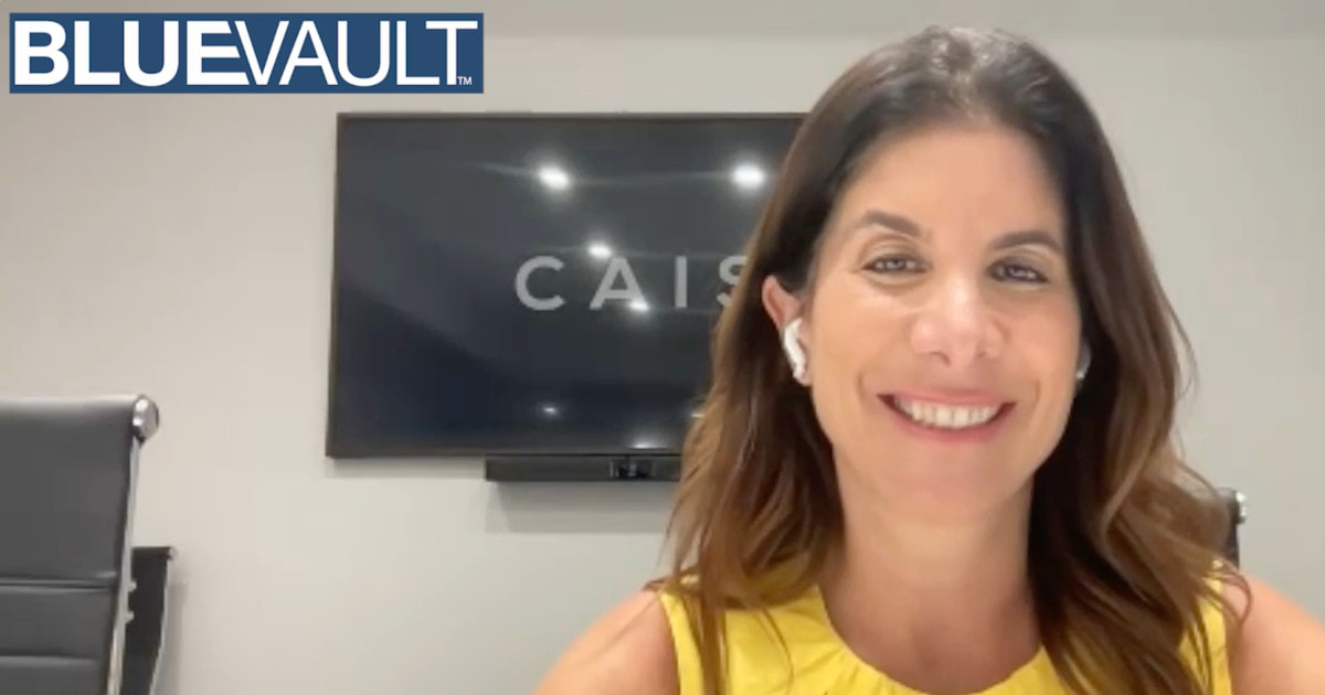 Inside the V(ALT), with Abby Salameh. Blue Vault - CAIS